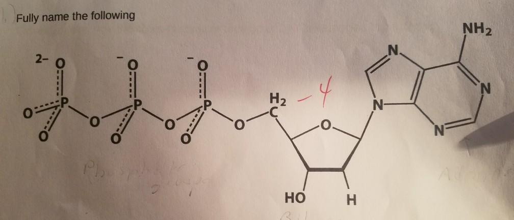 Solved Fully name the following NH2 2- O. H2 ---- HO H | Chegg.com