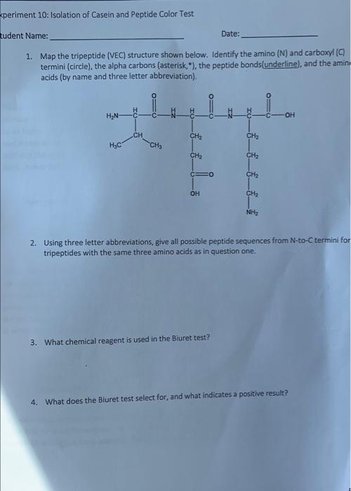 Solved xperiment 10: Isolation of Casein and Peptide Color | Chegg.com