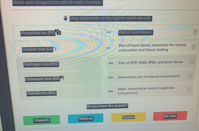 Solved Match each inorganic ion with its major function. | Chegg.com