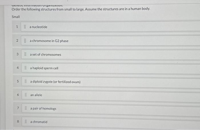 Solved Order the following structures from small to large. | Chegg.com