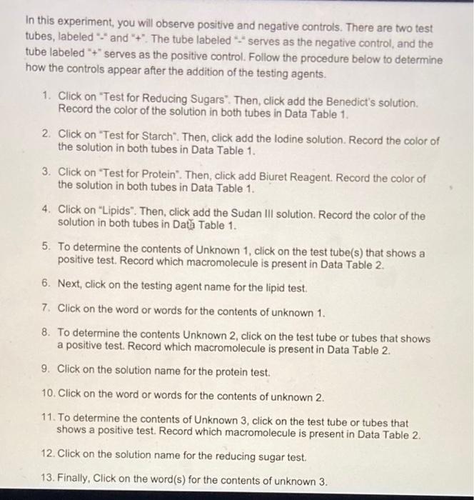 Solved In this experiment, you will observe positive and | Chegg.com