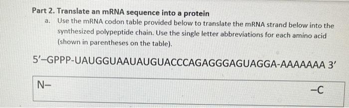 Solved Part 2. Translate an mRNA sequence into a protein a. | Chegg.com