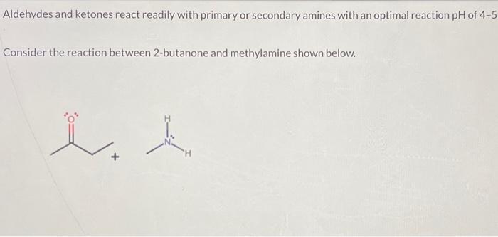 Solved Aldehydes and ketones react readily with primary or | Chegg.com