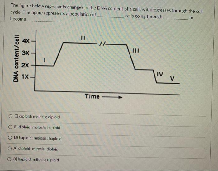 Solved The figure below represents changes in the DNA | Chegg.com