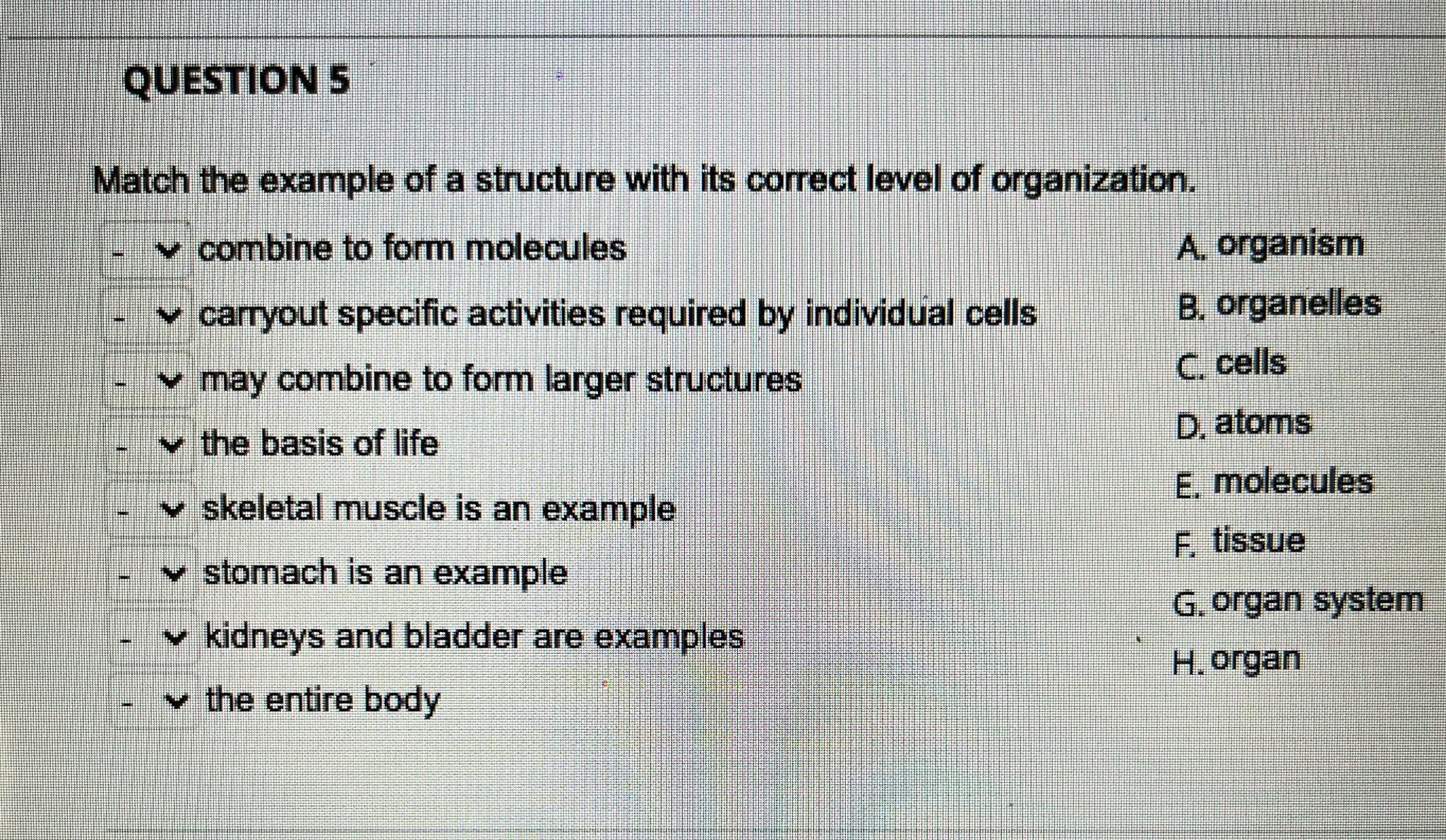 Solved QUESTION 5Match the example of a structure with its | Chegg.com