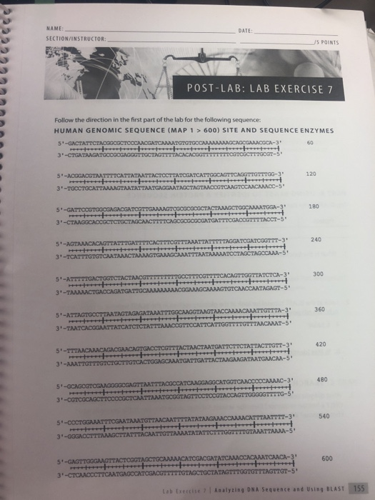 NAME SECTION/INSTRUCTOR: 15 POINTS POST-LAB: LAB | Chegg.com