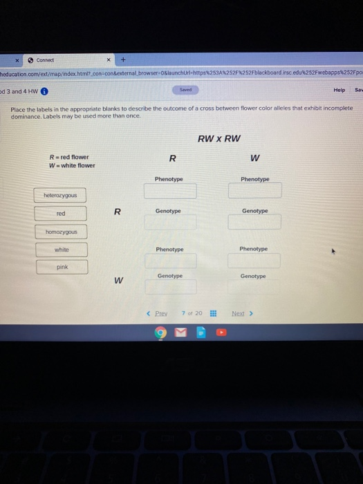 Solved Connect + theducation.com/ext/map/index.html?con | Chegg.com
