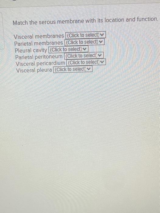 Solved Match the serous membrane with its location and | Chegg.com