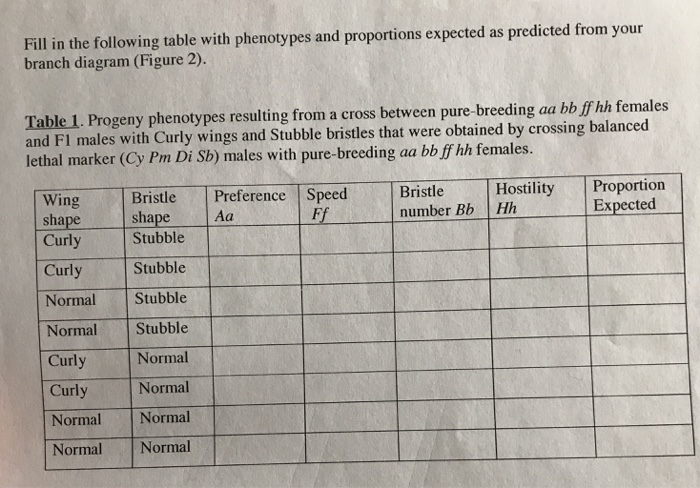 Solved The figure 1 just tells you to draw the chromosome s | Chegg.com