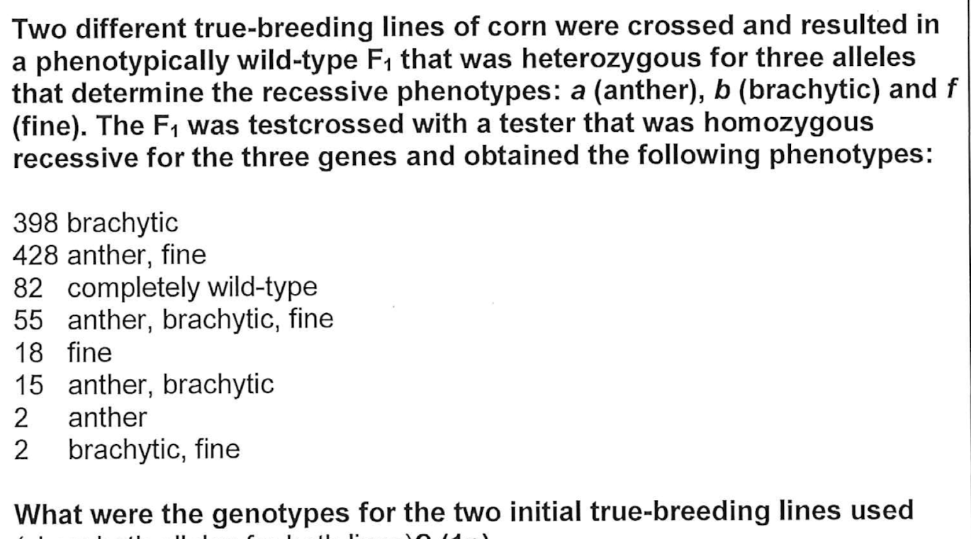 Two different true-breeding lines of corn were | Chegg.com