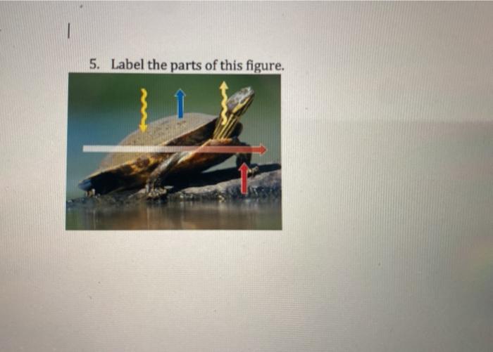 Solved 5. Label the parts of this figure. | Chegg.com