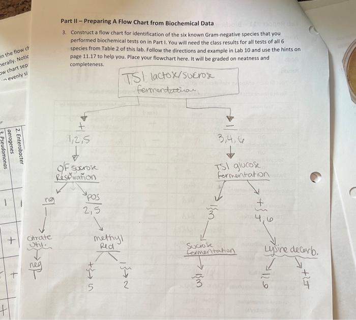 Solved so i posted a flow chart question but it wouldnt let | Chegg.com