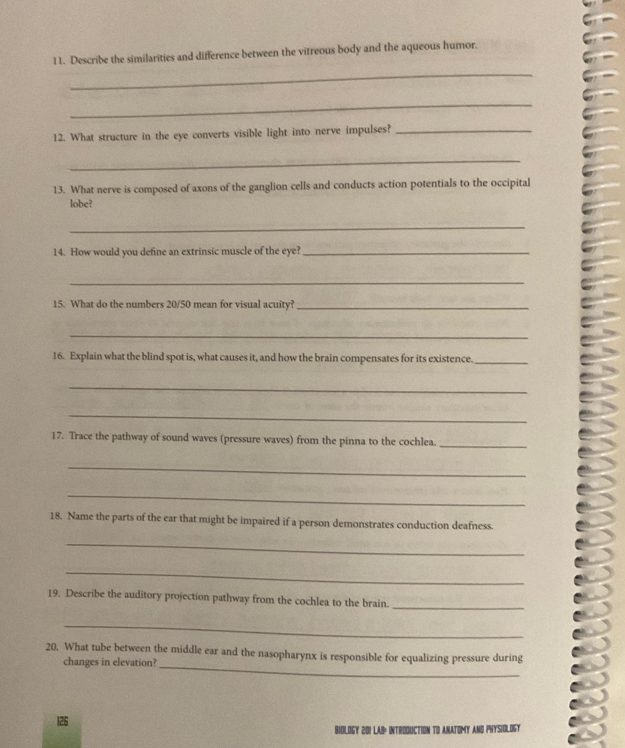 Solved Describe the similarities and difference between the | Chegg.com