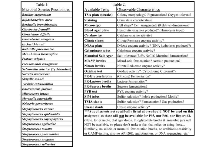 Solved can you please make dichotomous key for this. | Chegg.com Solved can you please make dichotomous key for this. | Chegg.com