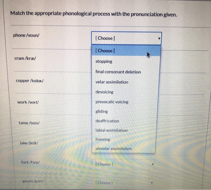 Match the appropriate phonological process with the | Chegg.com