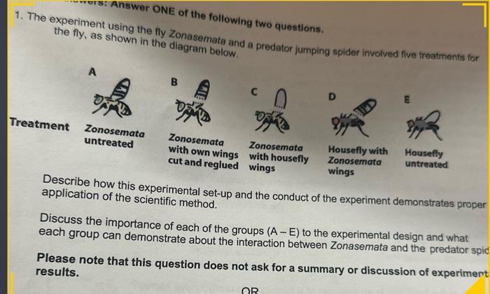 Solved ONE of the following two questions. the fly, as using | Chegg.com