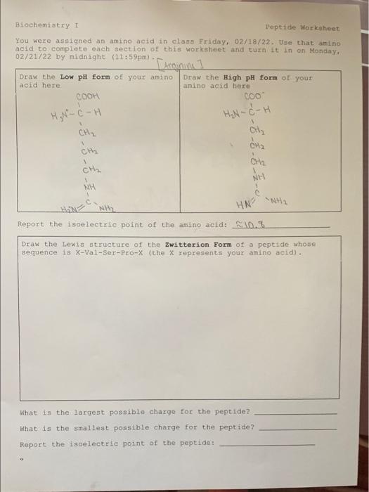 Solved Biochemistry Peptide Worksheet You were assigned an | Chegg.com