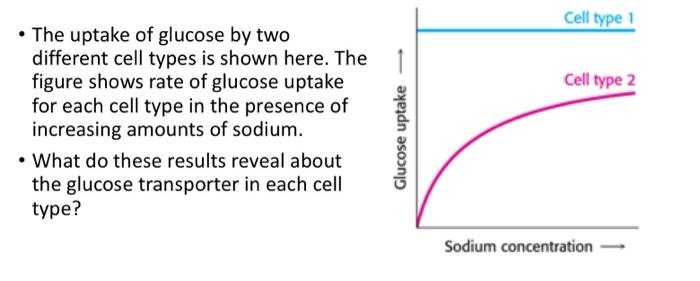 - The uptake of glucose by two different cell types | Chegg.com