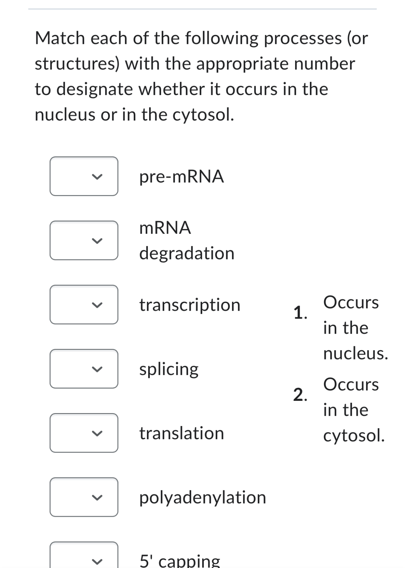 Match each of the following processes (or structures) | Chegg.com