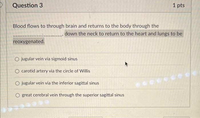 Solved Blood flows to through brain and returns to the body | Chegg.com