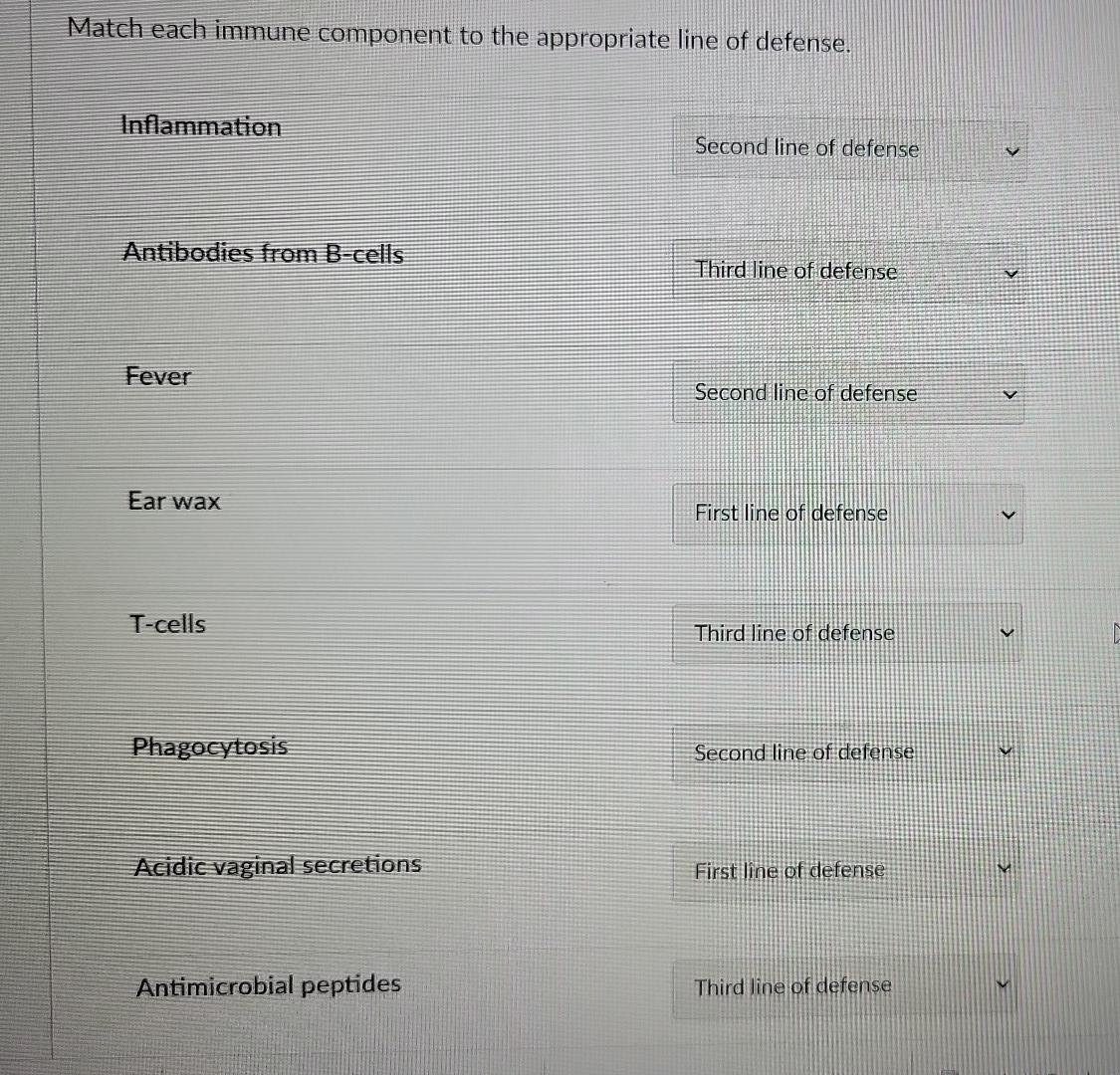 Solved Match each immune component to the appropriate line | Chegg.com