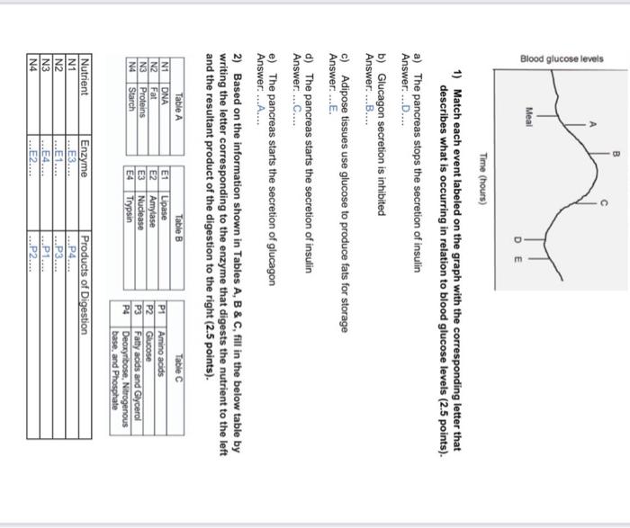 Solved 1) Match each event labeled on the graph with the | Chegg.com