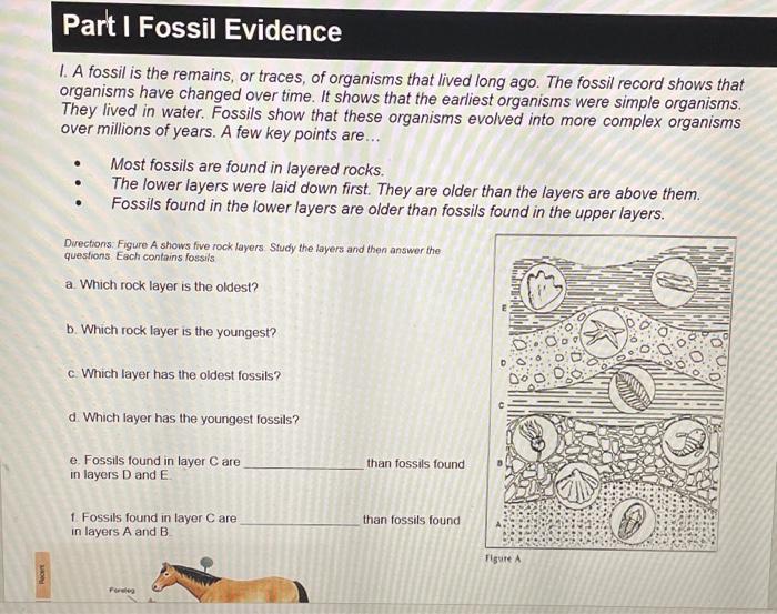Solved Part I Fossil Evidence 1. A fossil is the remains, or | Chegg.com