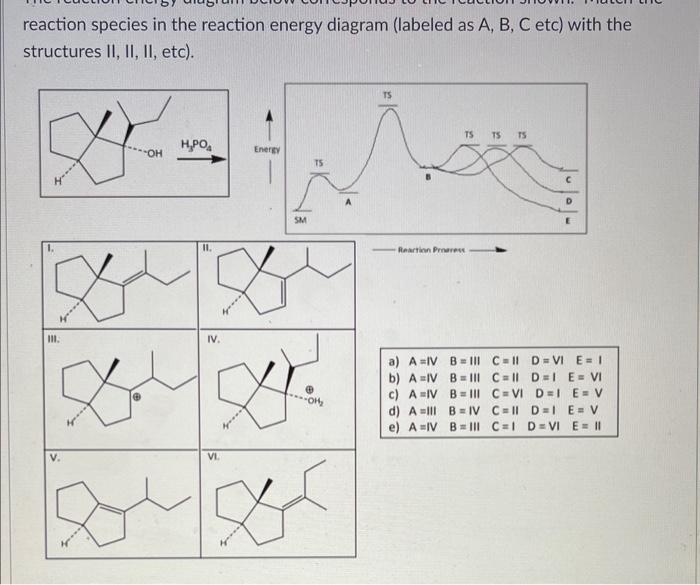 Solved reaction species in the reaction energy diagram | Chegg.com