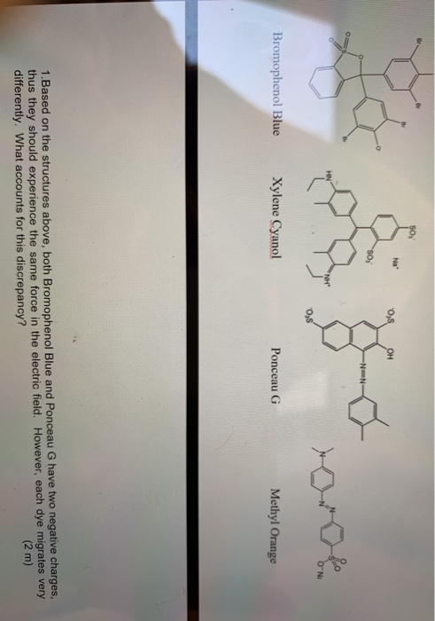 O, OH Bromophenol Blue Xylene Cyanol Ponceau G Methyl | Chegg.com