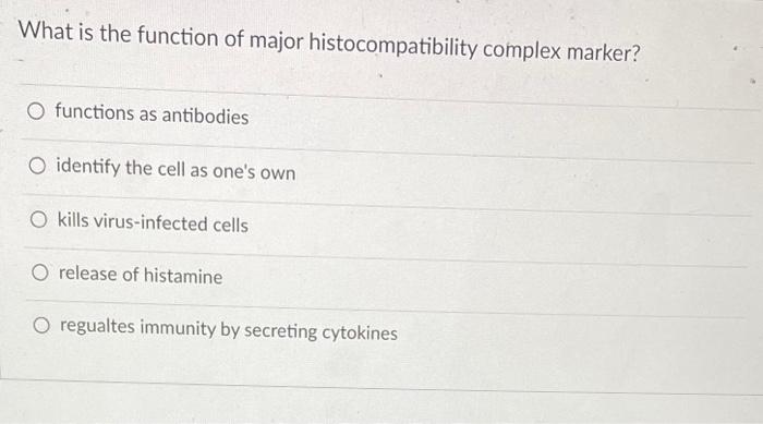 Solved What is the function of major histocompatibility | Chegg.com