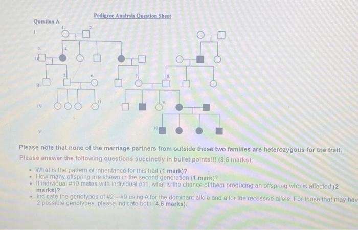 Solved Pedigree Analysis Question Sheet Question A THI TV E | Chegg.com