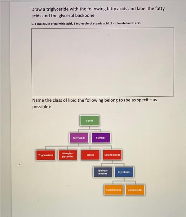 Solved Draw a triglyceride with the following fatty acids | Chegg.com
