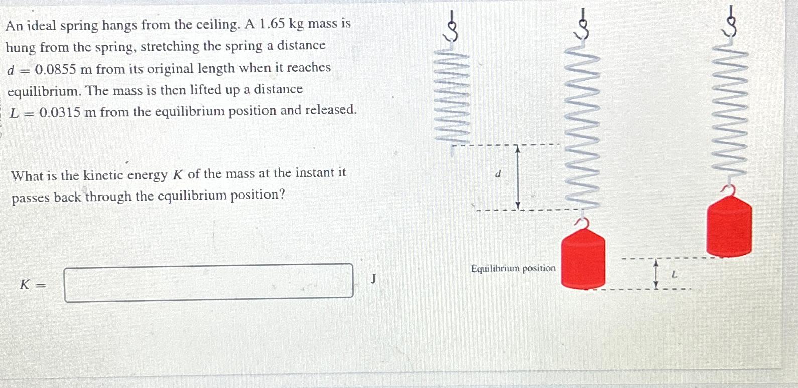 Solved An ideal spring hangs from the ceiling. A 1.65kg | Chegg.com