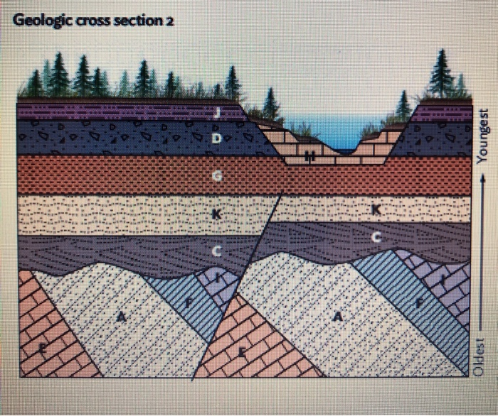 Solved EXERCISE 12.6 Dating Rocks by Overlapping Fossil | Chegg.com
