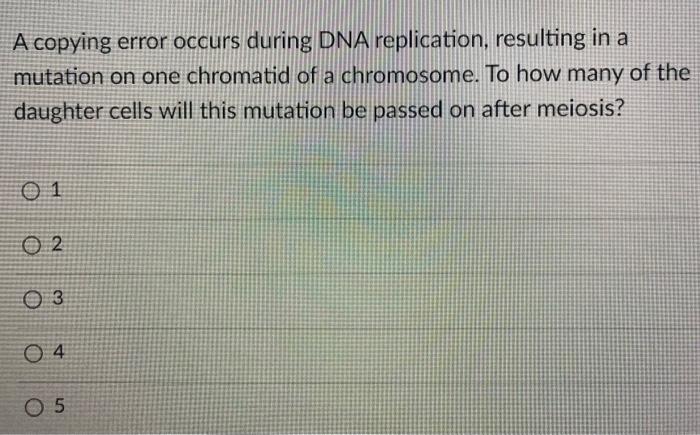 Solved A copying error occurs during DNA replication, | Chegg.com