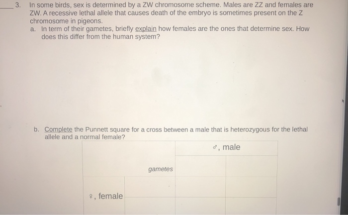 Solved In Some Birds Sex Is Determined By A Zw Chromosome