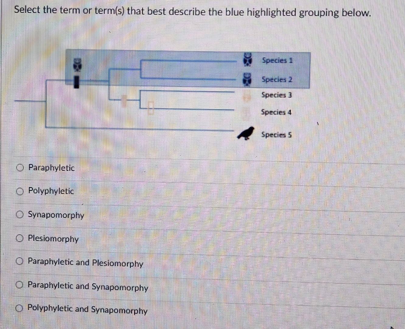 Solved Select the term or term(s) that best describe the | Chegg.com