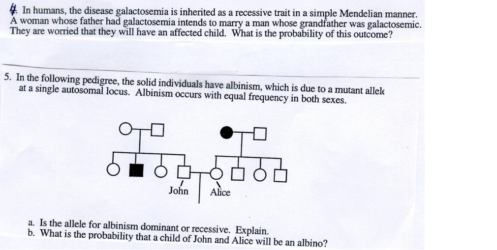 Solved In humans, the disease galactosemia is inherited as a | Chegg.com