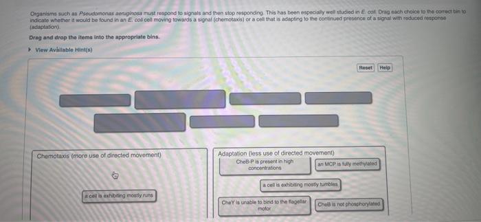 Solved 1. When Pseudomonas aeruginosa are exposed to damaged | Chegg.com