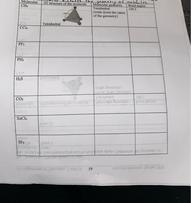 Solved Volecules CHE LIN5 then try of mollis. 3D structure | Chegg.com