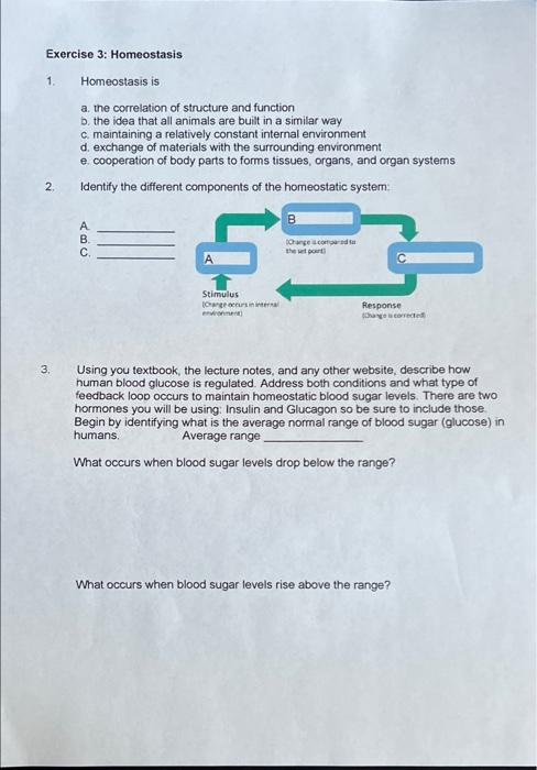 Solved Exercise 3: Homeostasis 1. Homeostasis is a the | Chegg.com