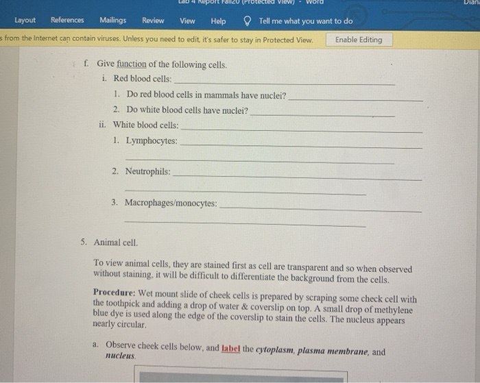 Solved Lab Report 4 Movement of Molecules & Cell Structure | Chegg.com