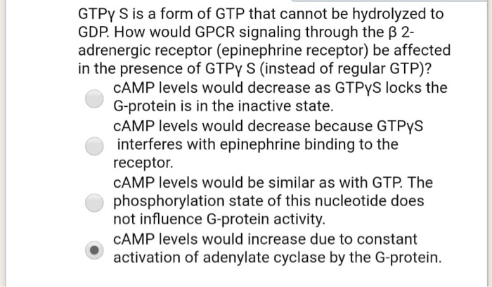 Solved GTPY S is a form of GTP that cannot be hydrolyzed to | Chegg.com