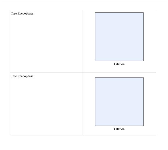Please desribe the major phenophases of the Eastern | Chegg.com