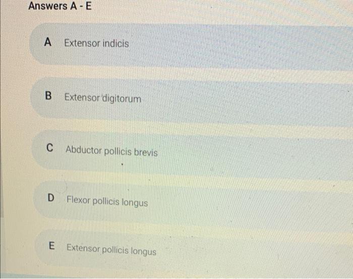 Solved Tenderness in the anatomical snuffbox is a well-known | Chegg.com