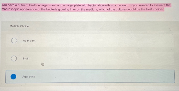 Solved You have a nutrient broth, an agar slant, and an agar | Chegg.com