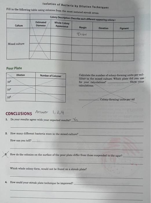 Solved Please fill up the table and answer the following | Chegg.com