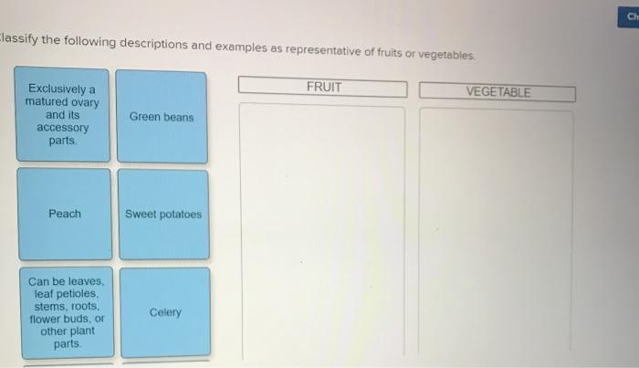 Solved ch Classify the following descriptions and examples | Chegg.com
