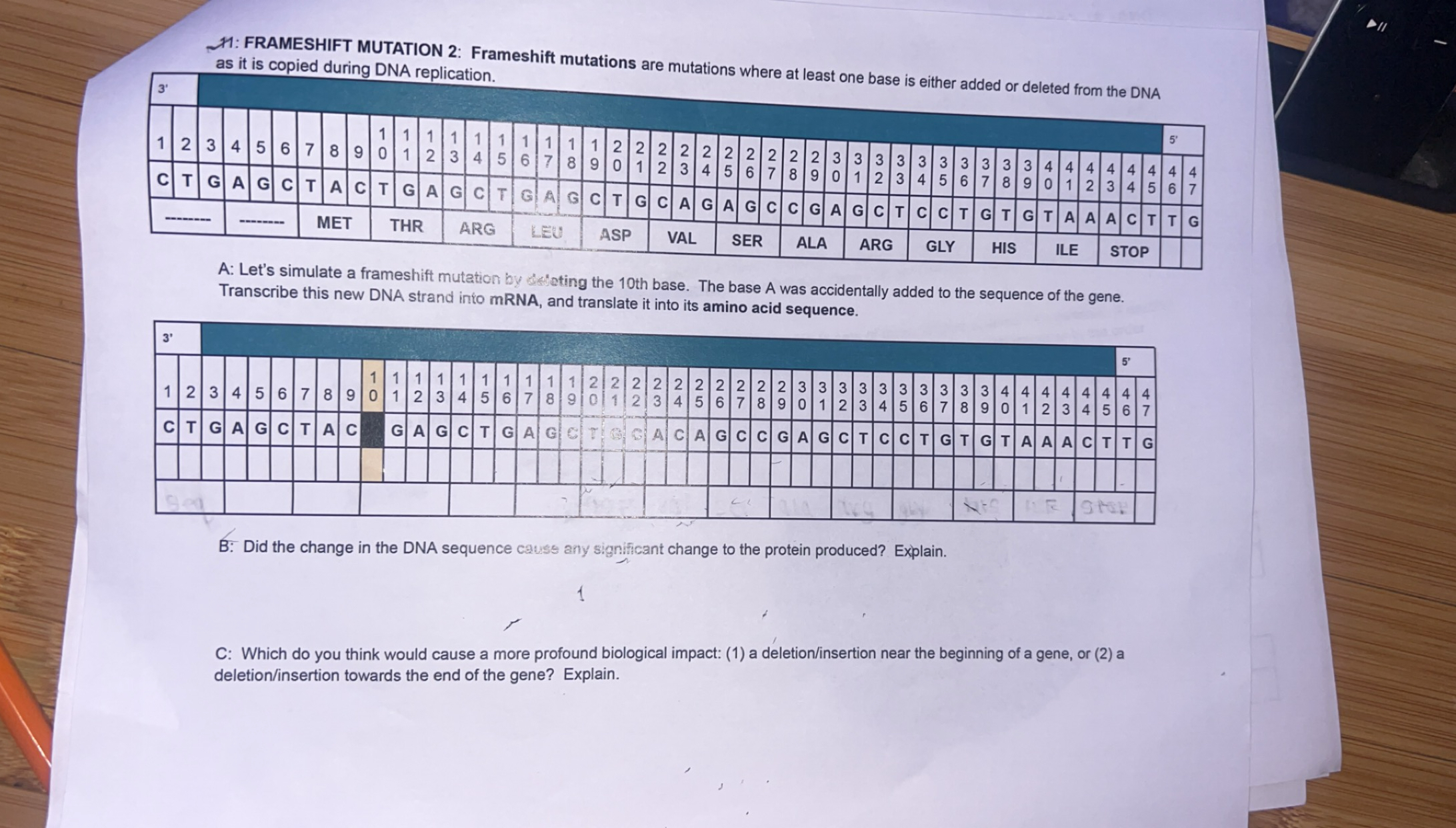 Solved 11: FRAMESHIFT MUTATION 2: Frameshift mutations are | Chegg.com