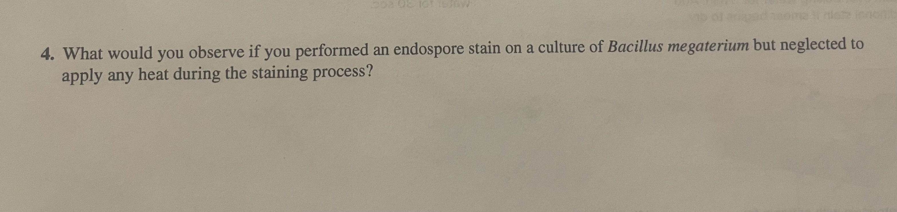Solved What would you observe if you performed an endospore | Chegg.com